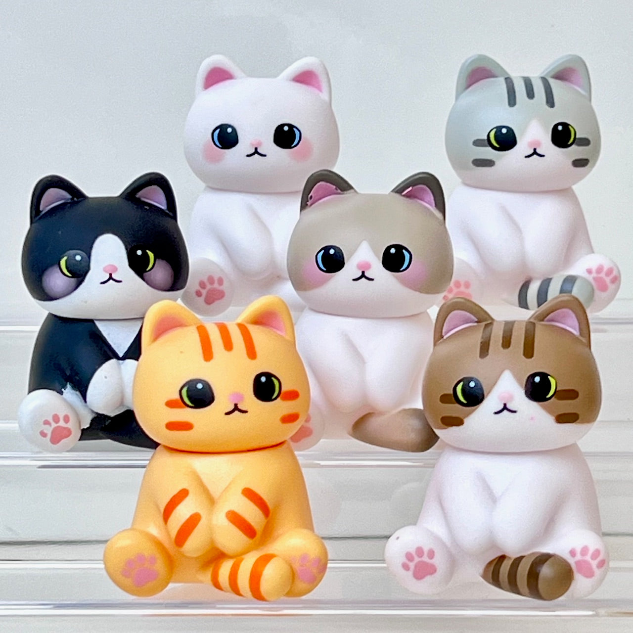 73206 My Po-Cat Blind Box-6 – BCmini