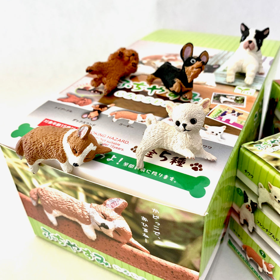 Blind Box – BCmini